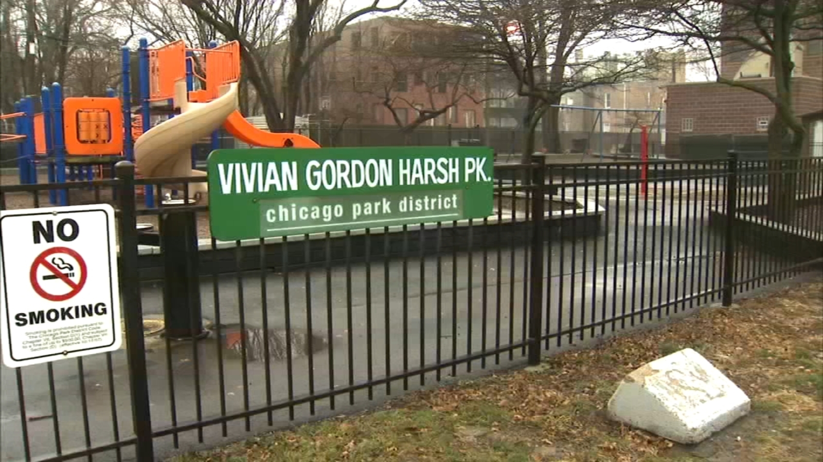 Witness positively identifies Mickiael Ward in shooting of Hadiya ...