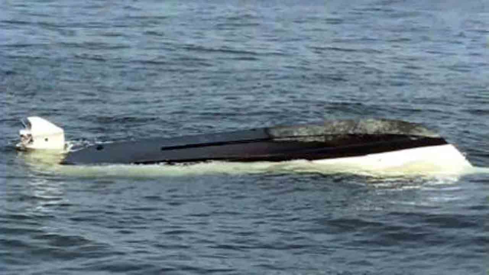 Whale flips over boat off the New Jersey coast - ABC7 New York