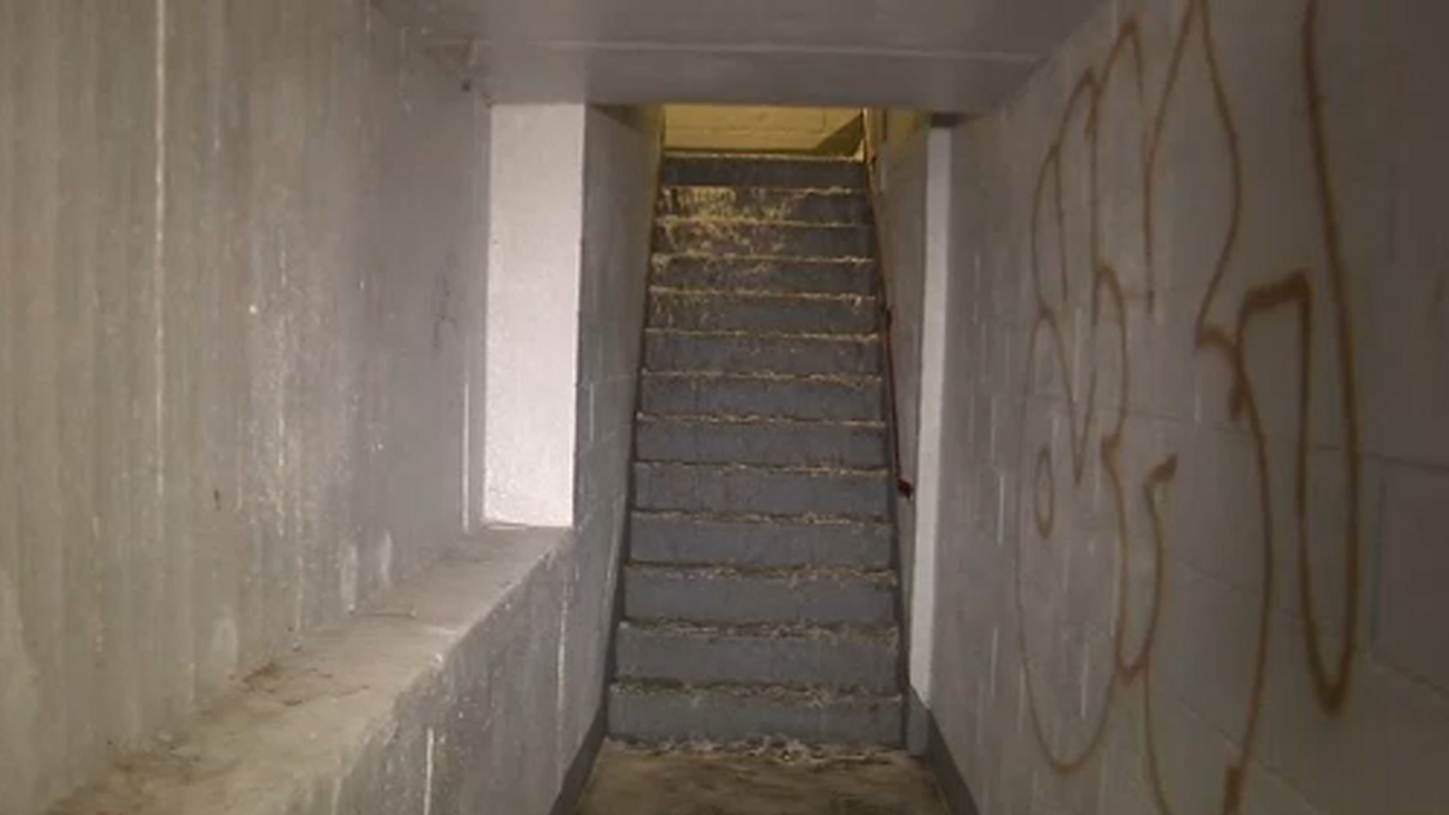 Water flows down stairwell, flooding Bronx NYCHA building - ABC7 New York