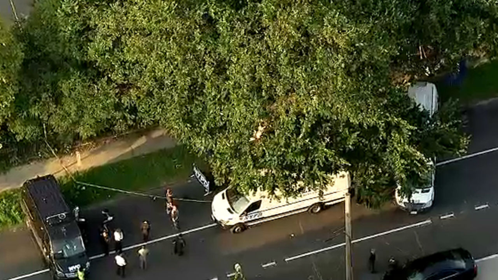 Human remains found in bags on sidewalk near Bronx park, police say ...