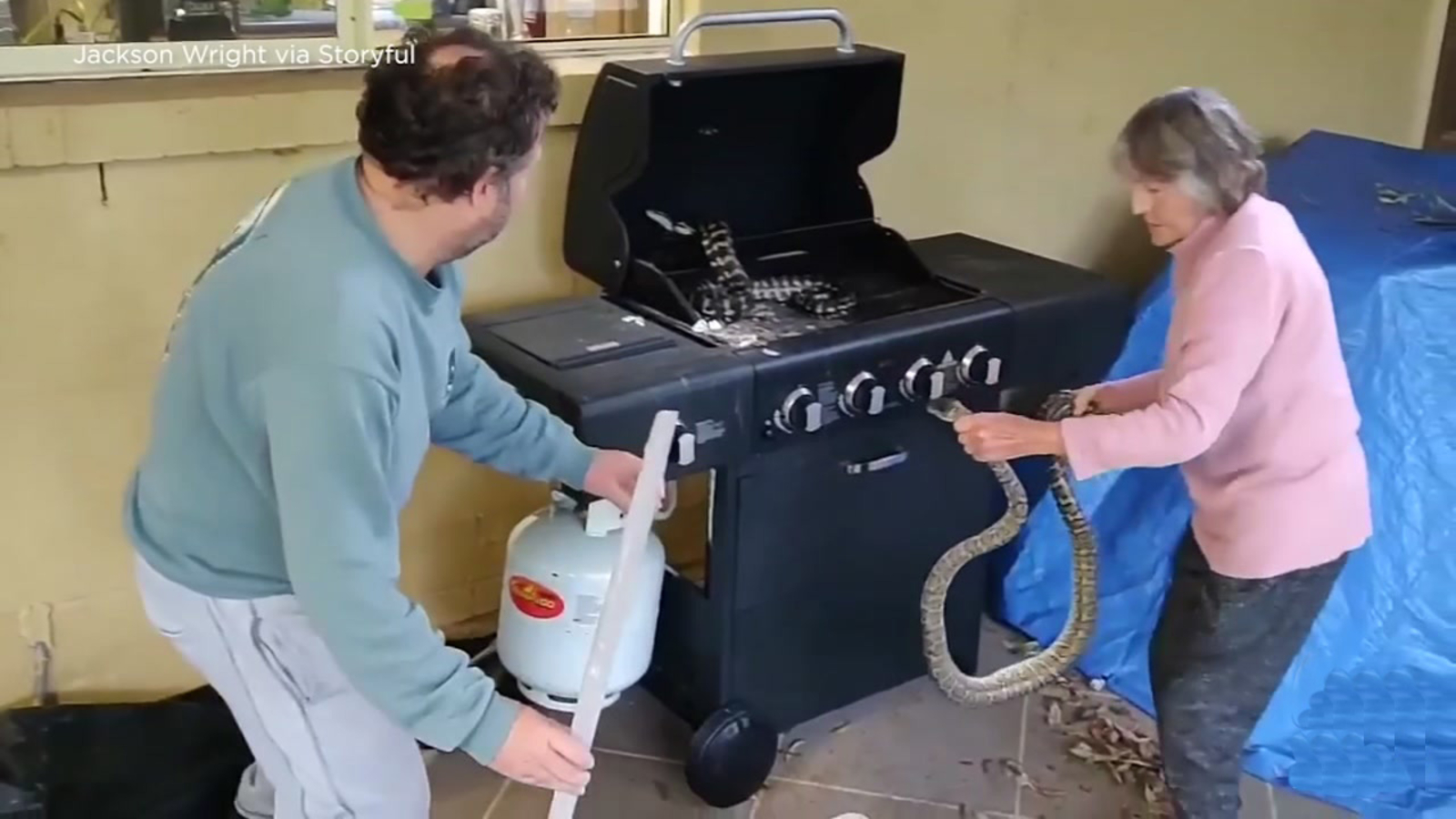 Gutsy grandma pulls snakes from barbecue grill in Australia - ABC7 New York