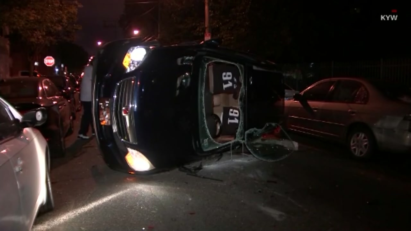 Squirrel reportedly causes crash that left multiple vehicles damaged ...