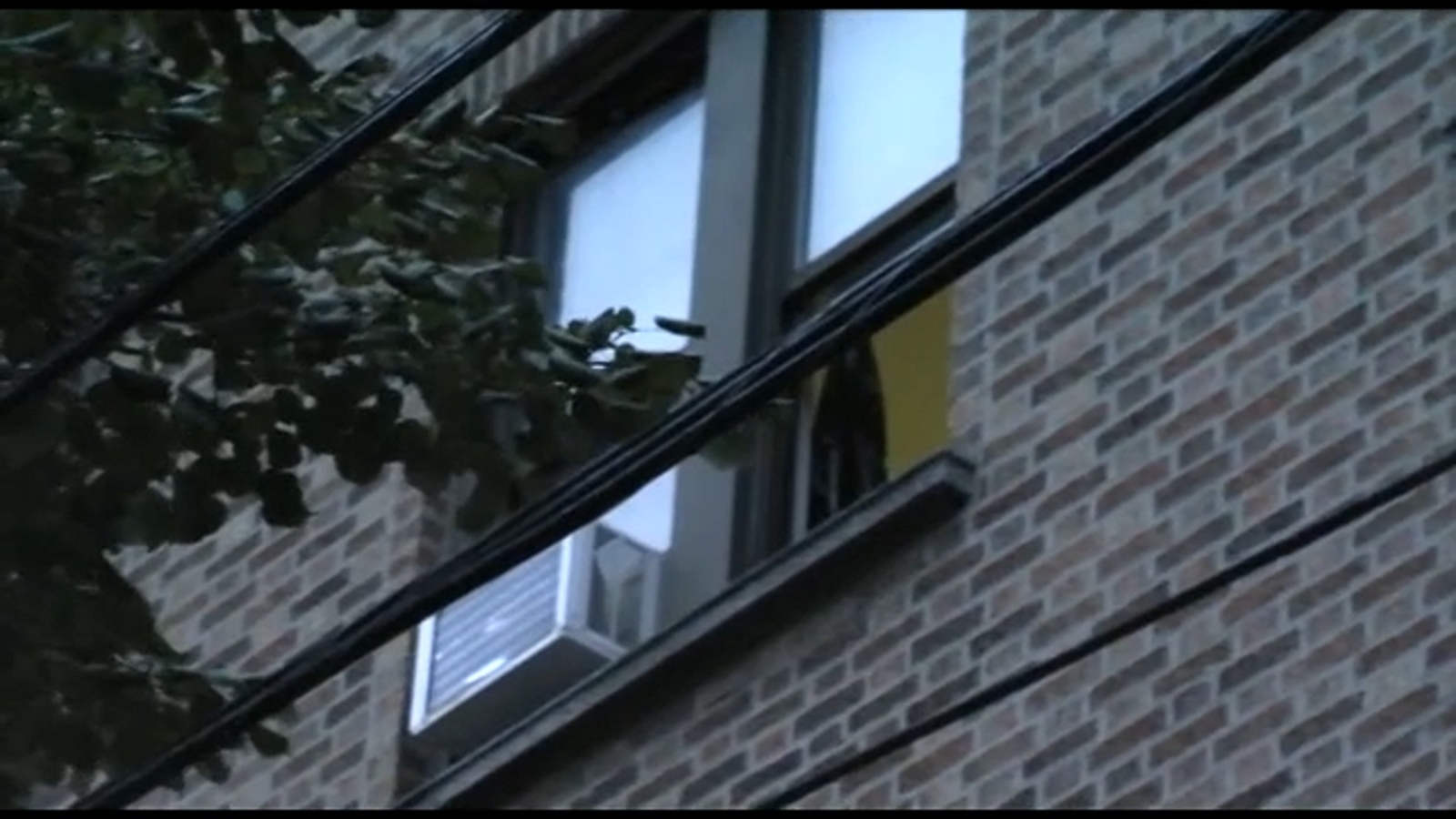 Young boy suffers minor head injuries after falling out Bronx window ...
