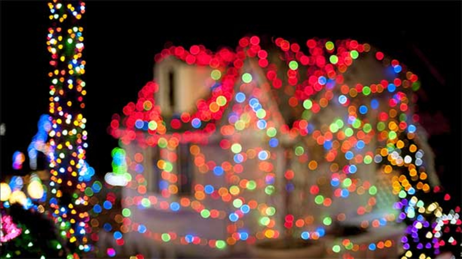 COOL VIDEO: 'Let It Go' Christmas light show stars...a cactus? - ABC7 ...