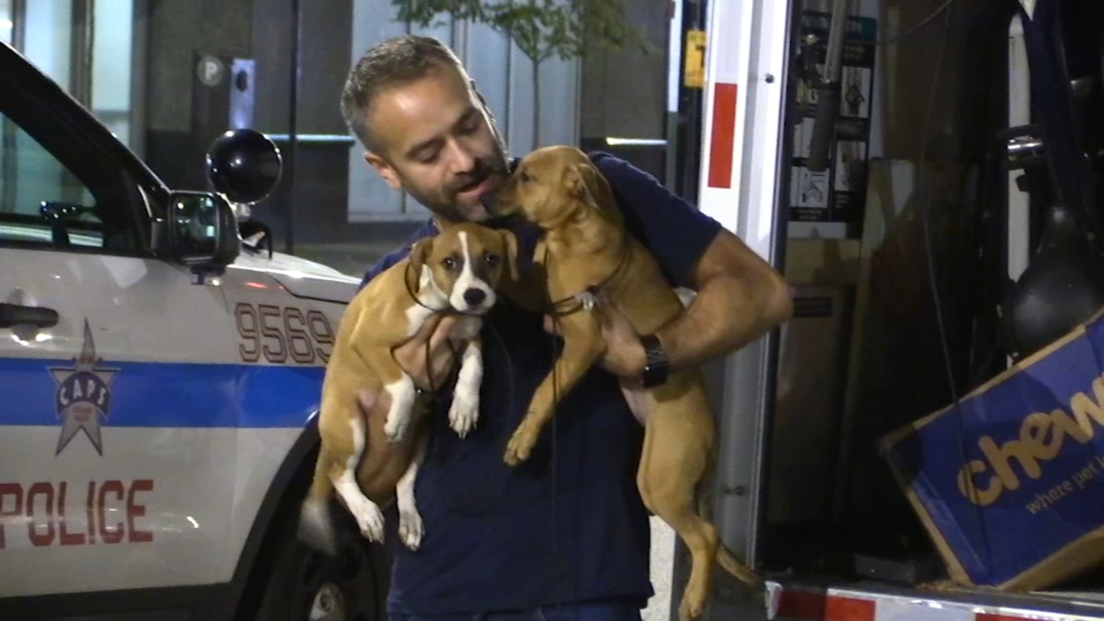 6 dogs rescued from inside hot moving truck in Streeterville - ABC7 Chicago