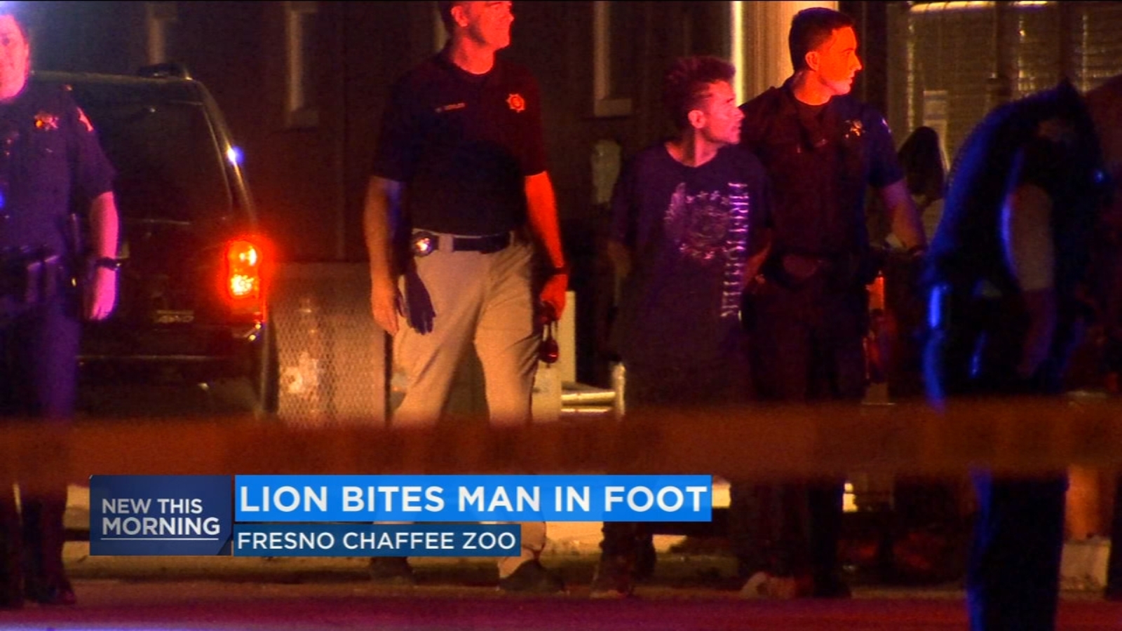 Man bitten by lion after breaking into enclosure at Fresno Chaffee Zoo ...