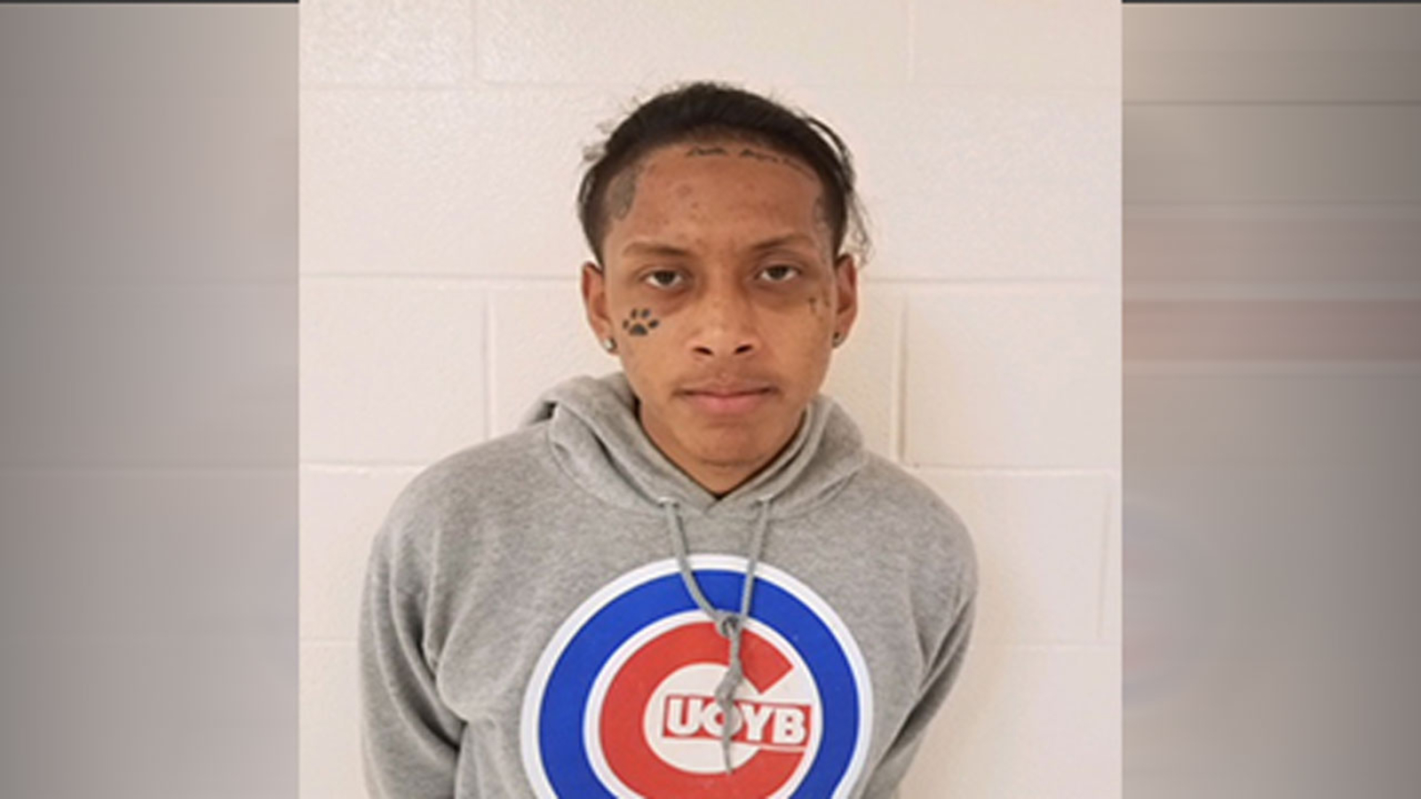 18-year-old with fake ID arrested at Houston airport for allegedly ...