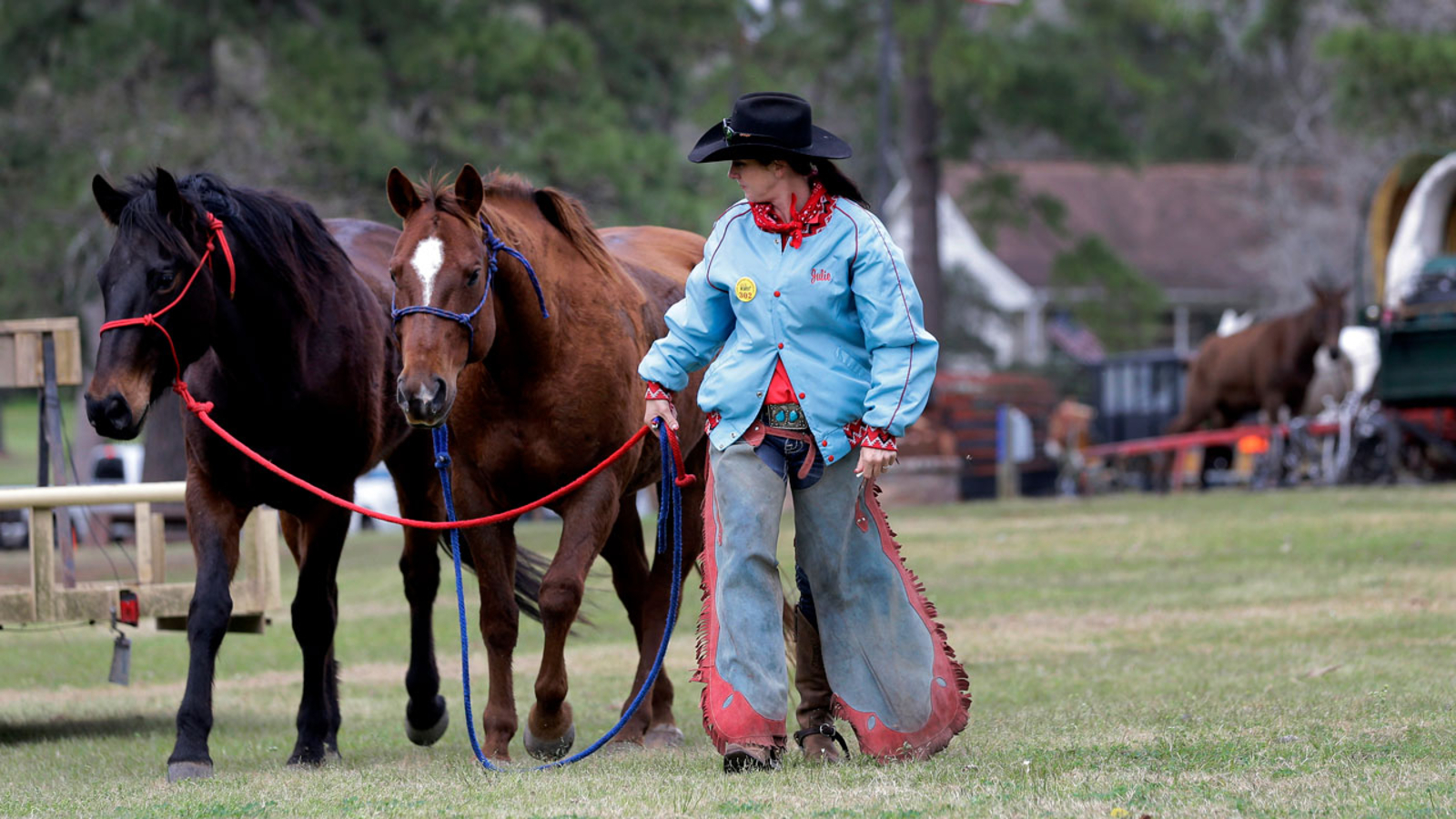 Pasadena Livestock Show and Rodeo continues - ABC13 Houston