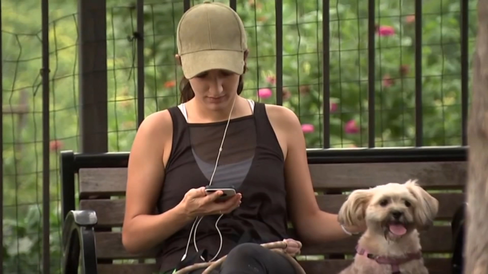 Dogs might get depressed when owners overuse smartphones, study says ...
