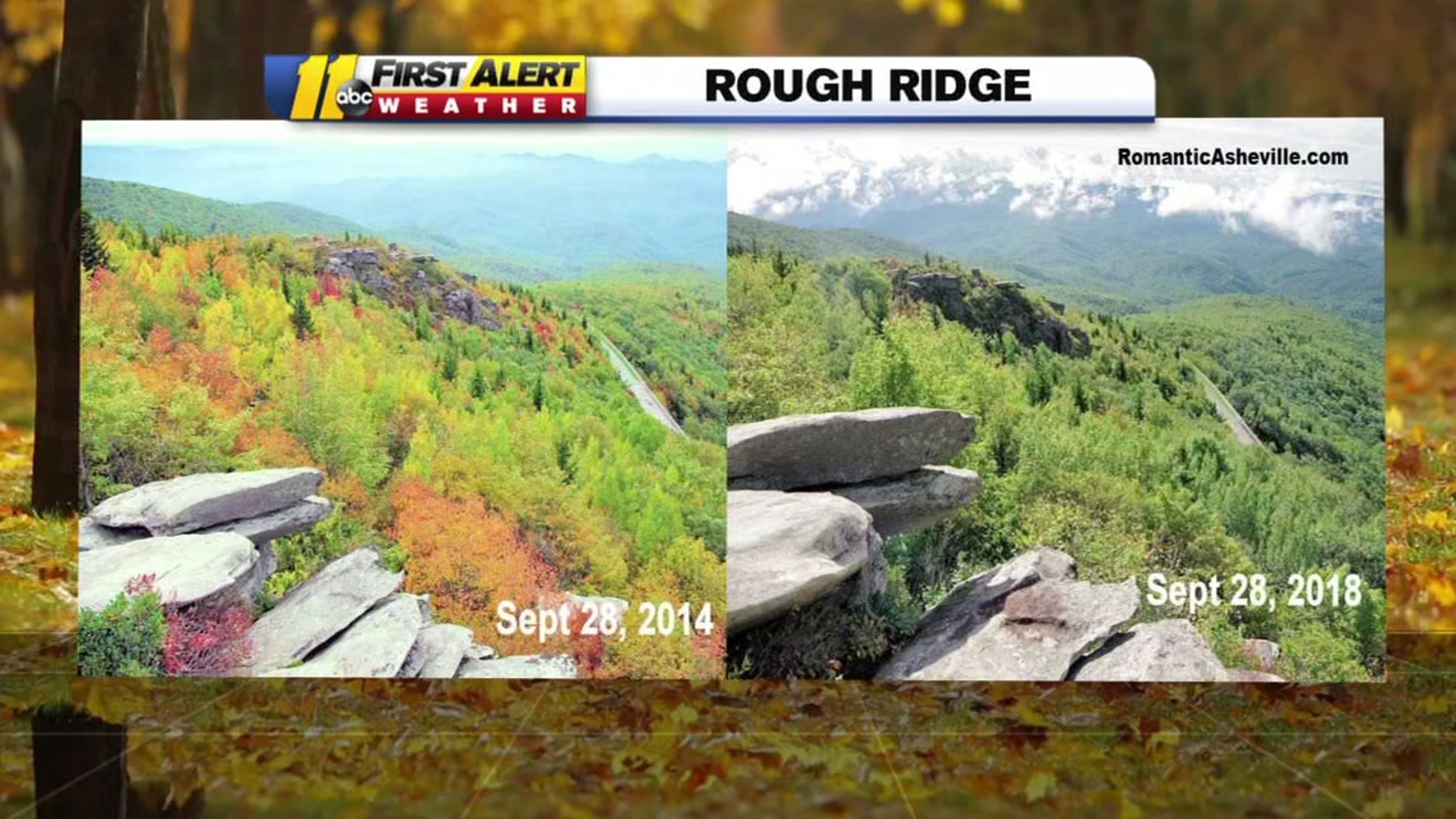 Fall colors in the NC mountains are running behind schedule - ABC11 ...