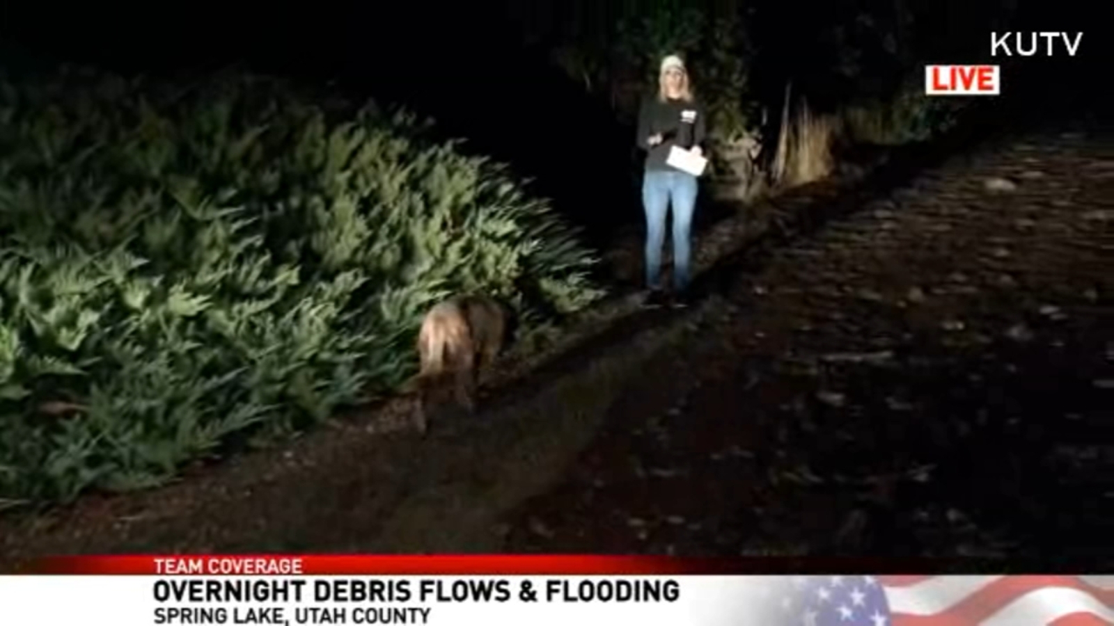 Creature walks into TV live shot, sparks internet debate - ABC13 Houston