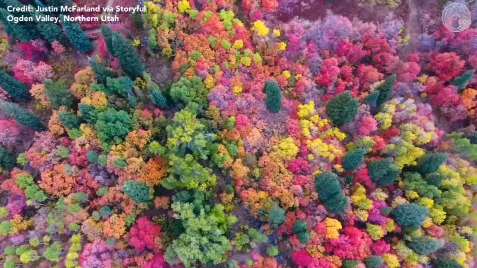 Dazzling display: Colorful foliage ushers in autumn in northern Utah ...