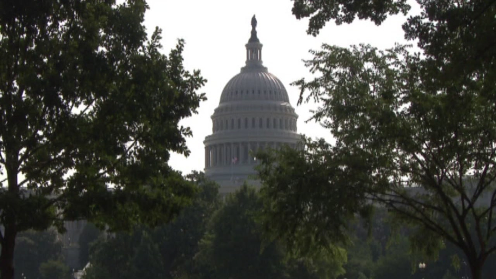 Intern for Congresswoman Sheila Jackson Lee arrested, accused of ...