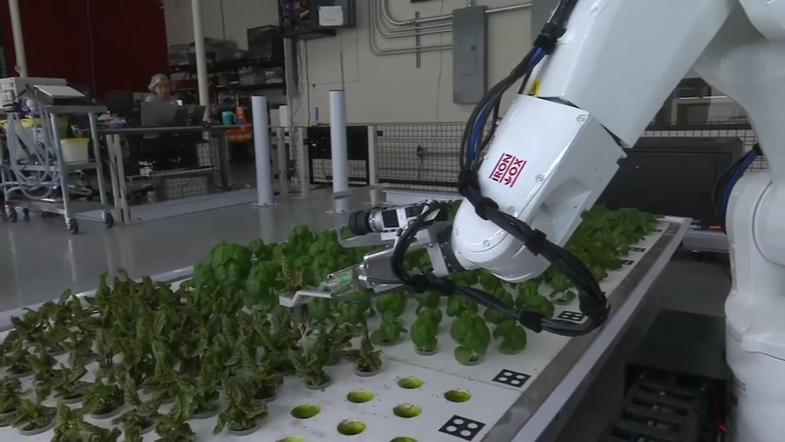 Robots work on fully-autonomous California farm - 6abc Philadelphia