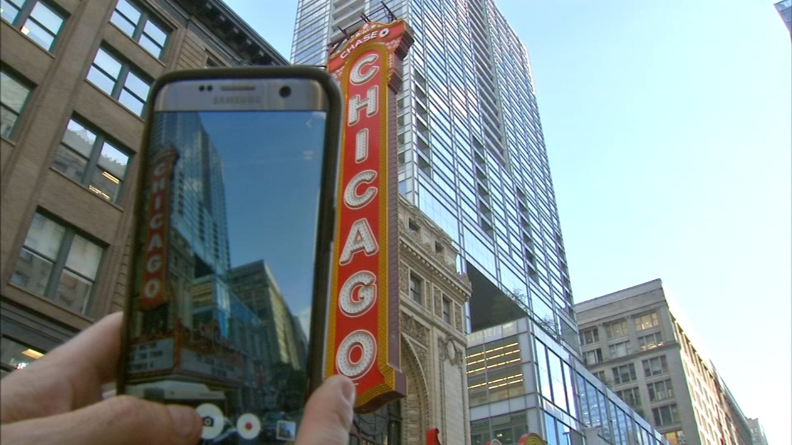 Poaching pics from Internet can cost social media users - ABC7 Chicago