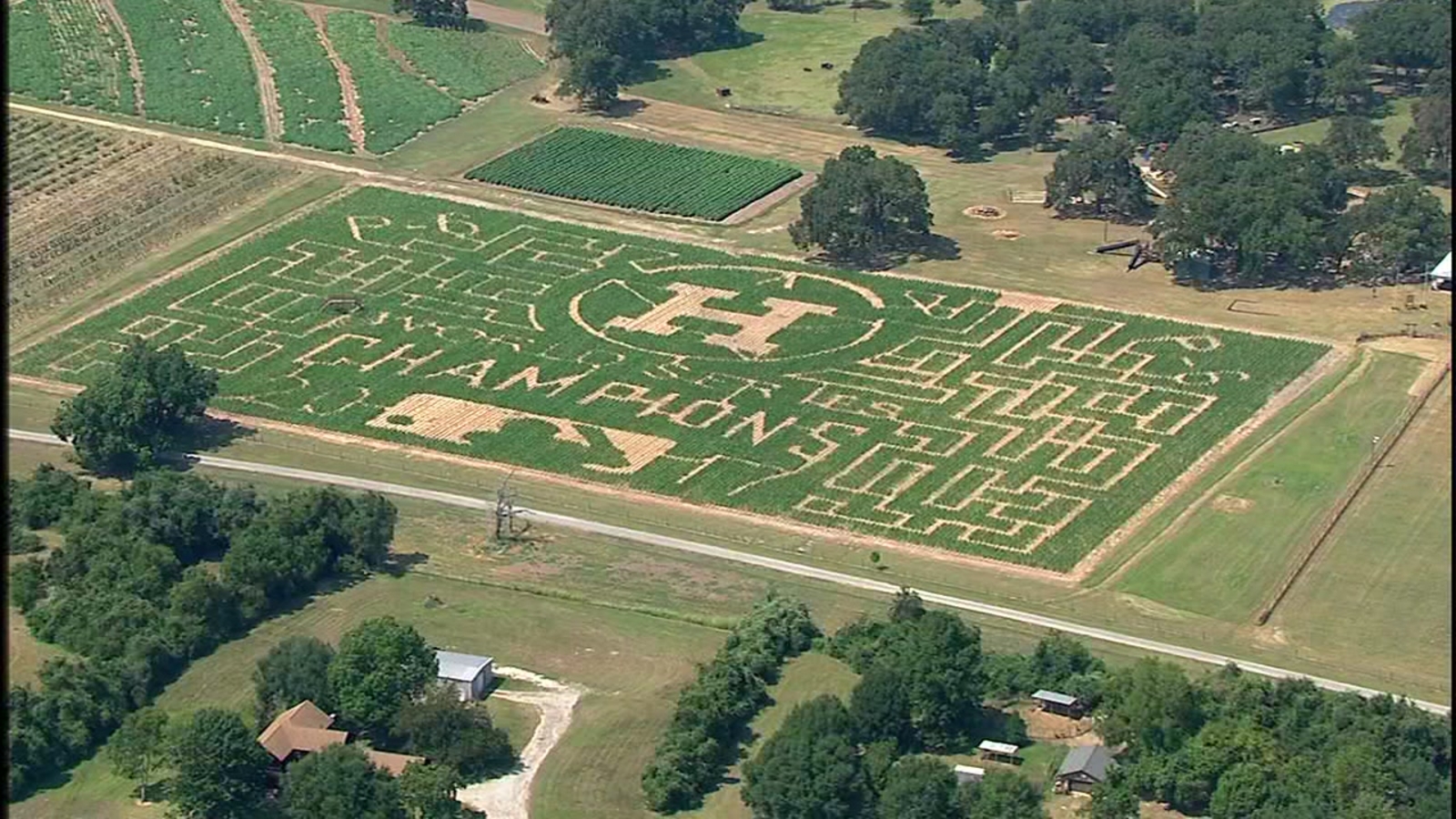 Get lost in these Houston area corn mazes this fall - ABC13 Houston