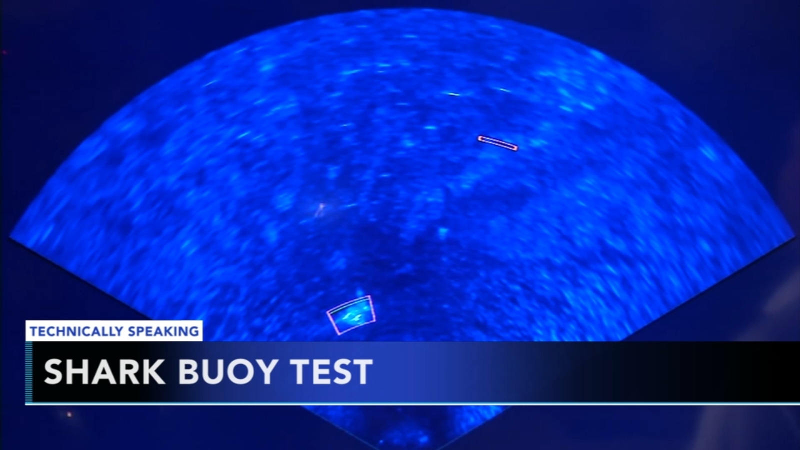 Hi-tech shark detection system being tested in California - 6abc ...