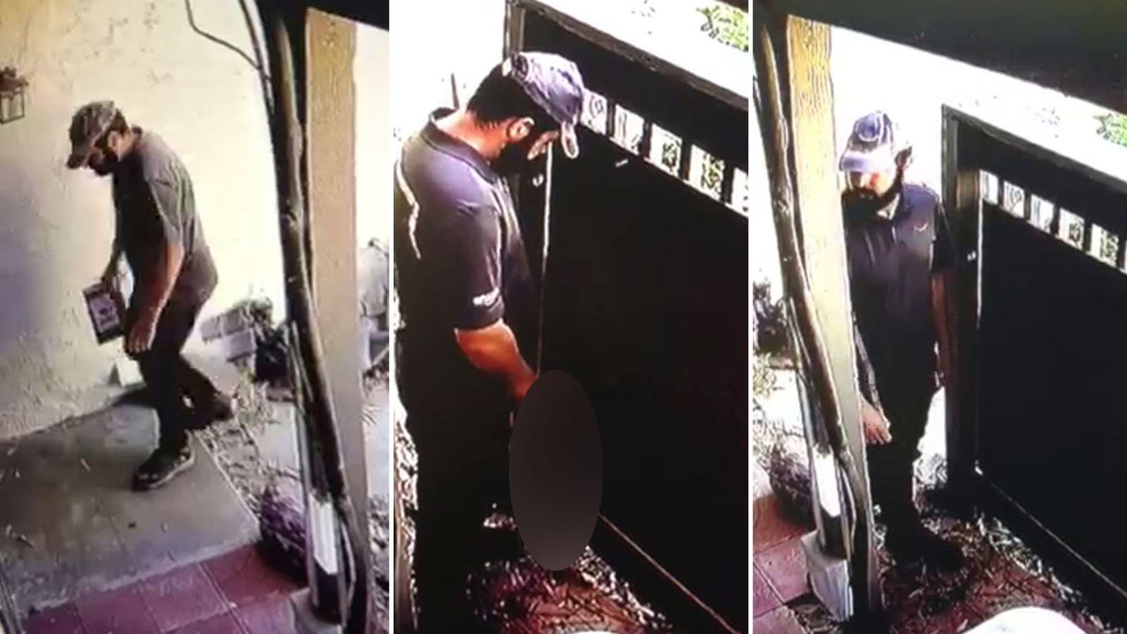 Amazon delivery driver caught on video urinating near front door of ...