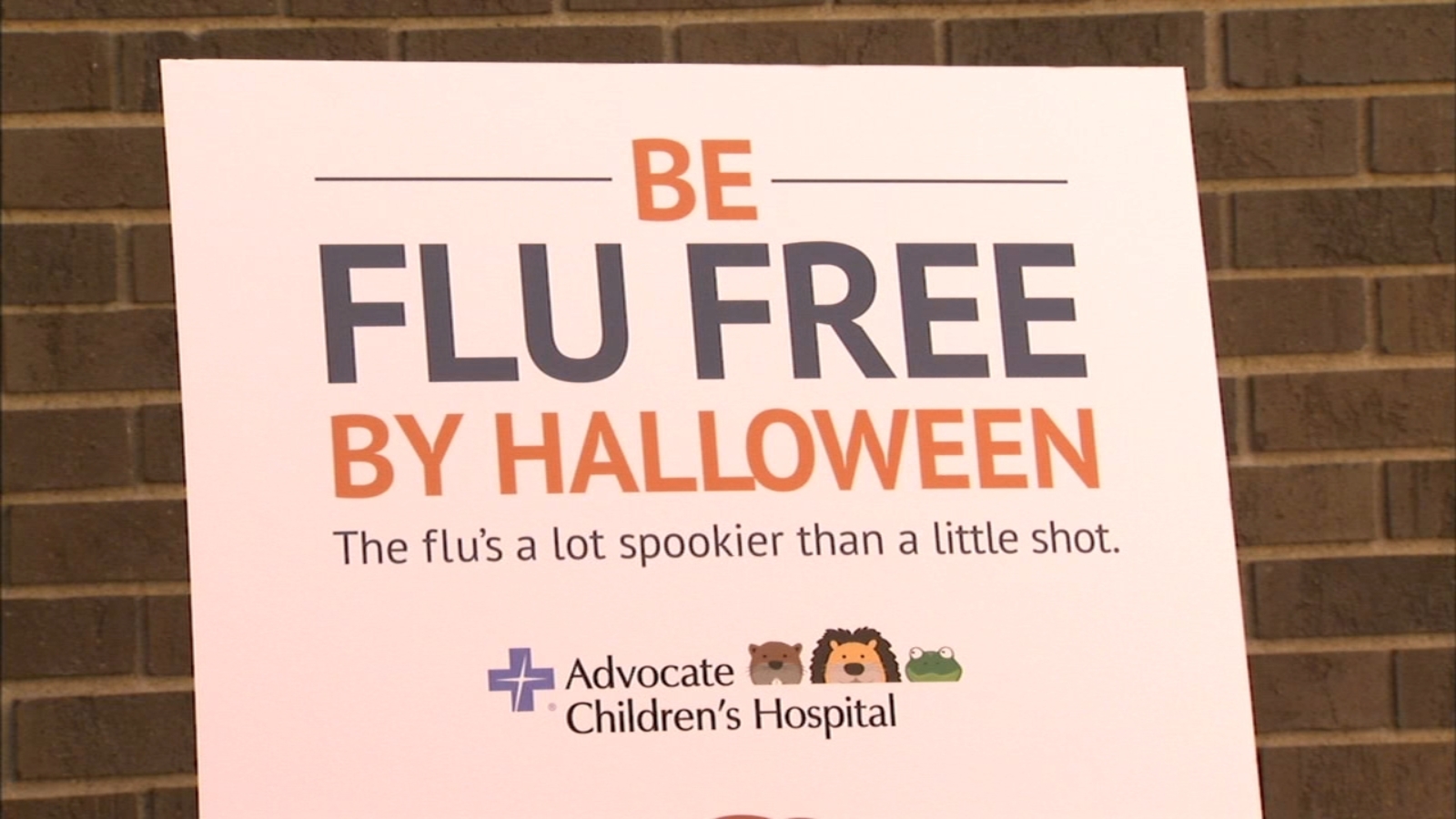 Doctors urge everyone over 6 months to get flu shots before Halloween ...