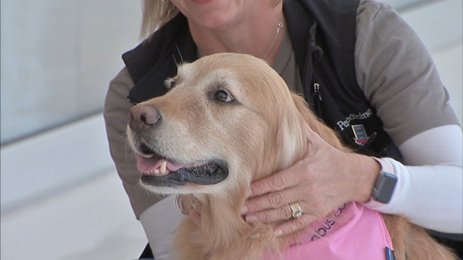 Therapy dogs visit breast cancer patients at Penn Presbyterian Medical ...