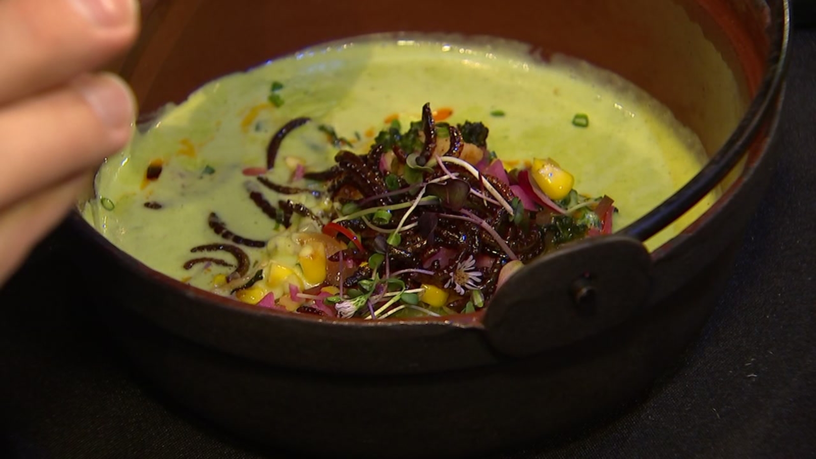Insects worm their way onto the menu at Raleigh's Bugfest Critter Cook ...