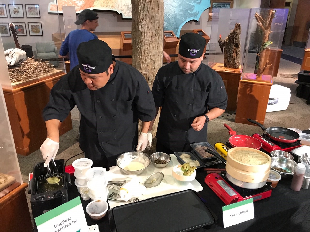 PHOTOS: Insects on the menu at Raleigh's Bugfest - ABC11 Raleigh-Durham