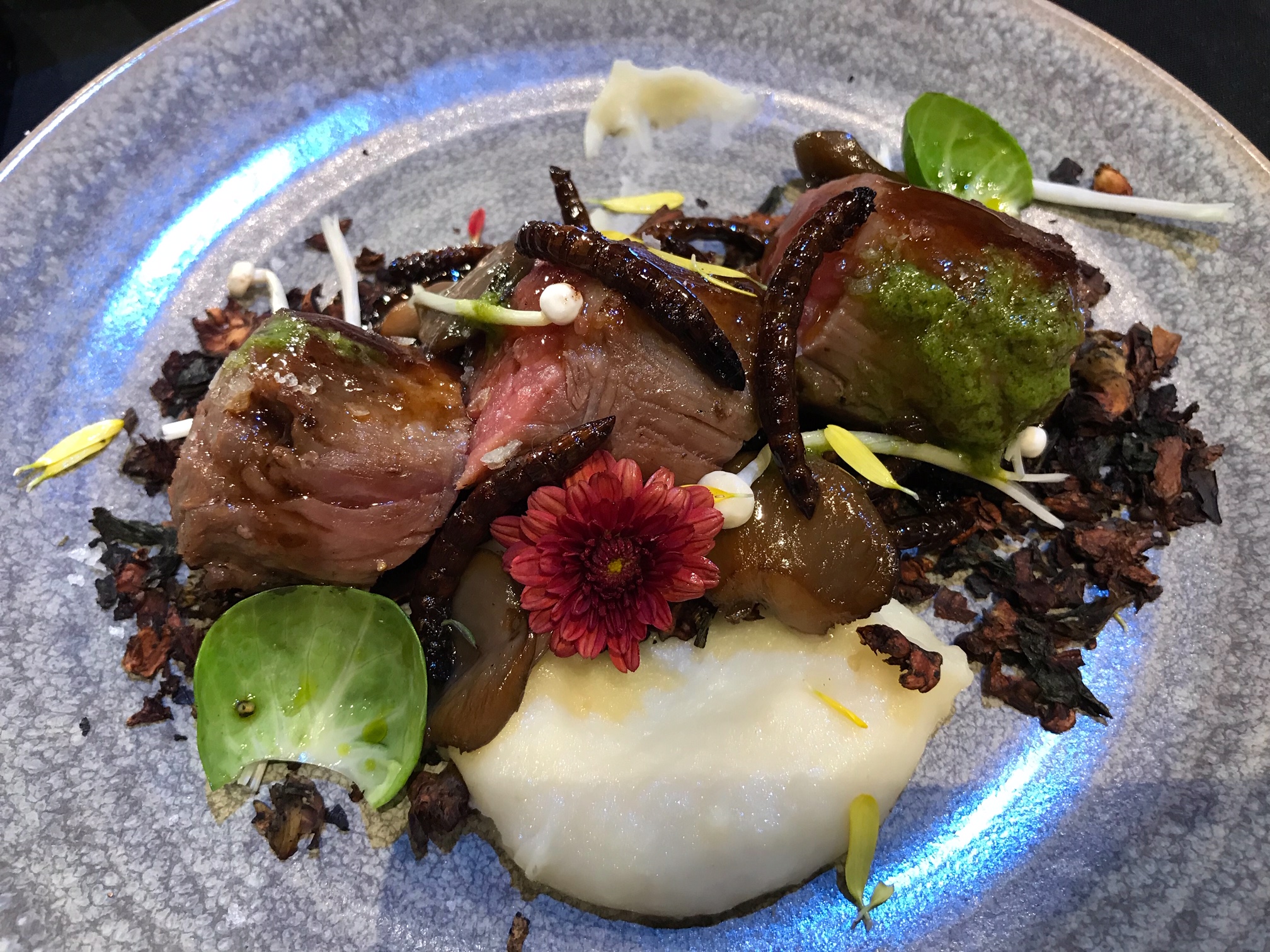 PHOTOS: Insects on the menu at Raleigh's Bugfest - ABC11 Raleigh-Durham