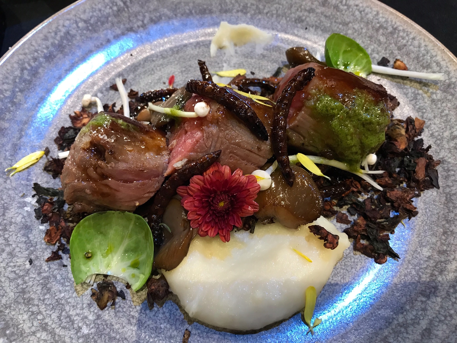 PHOTOS: Insects on the menu at Raleigh's Bugfest - ABC11 Raleigh-Durham