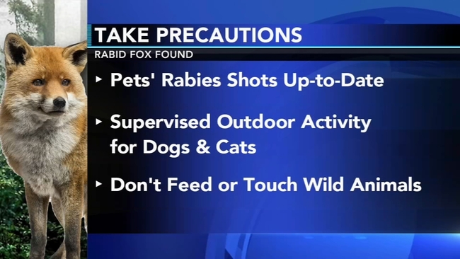 Rabies - 6abc Philadelphia