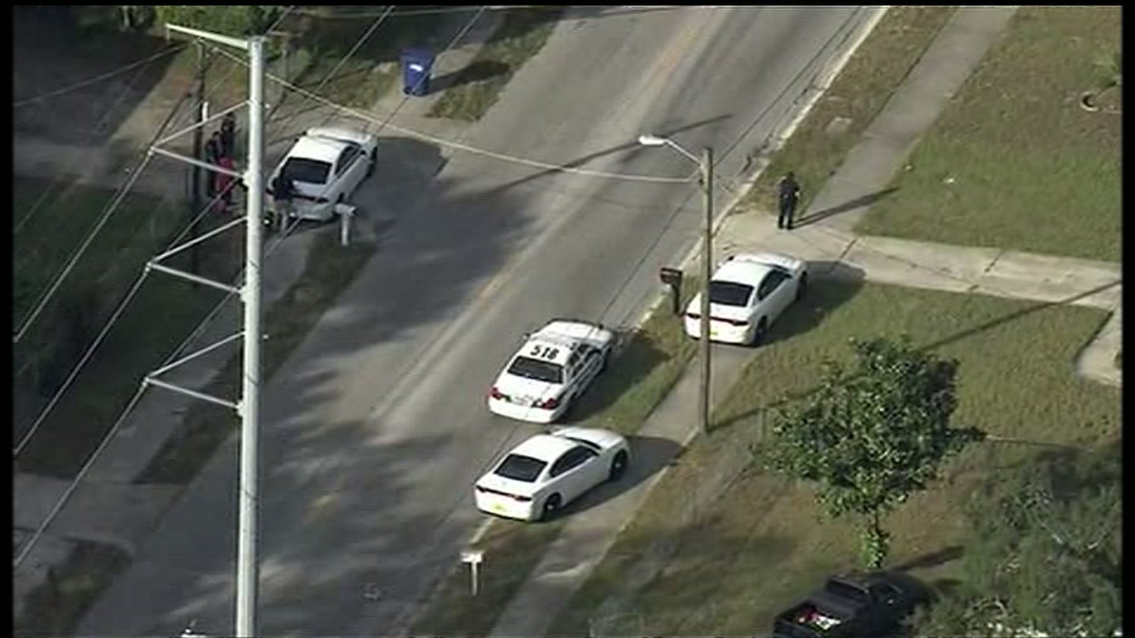 5 children, 2 adults hit by car at school bus stop in Tampa, Florida ...