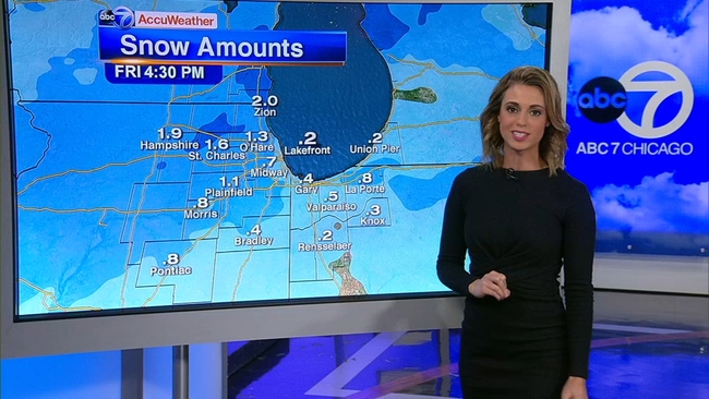 Cheryl Scott - ABC 7 Chicago Meteorologist - ABC7 Chicago