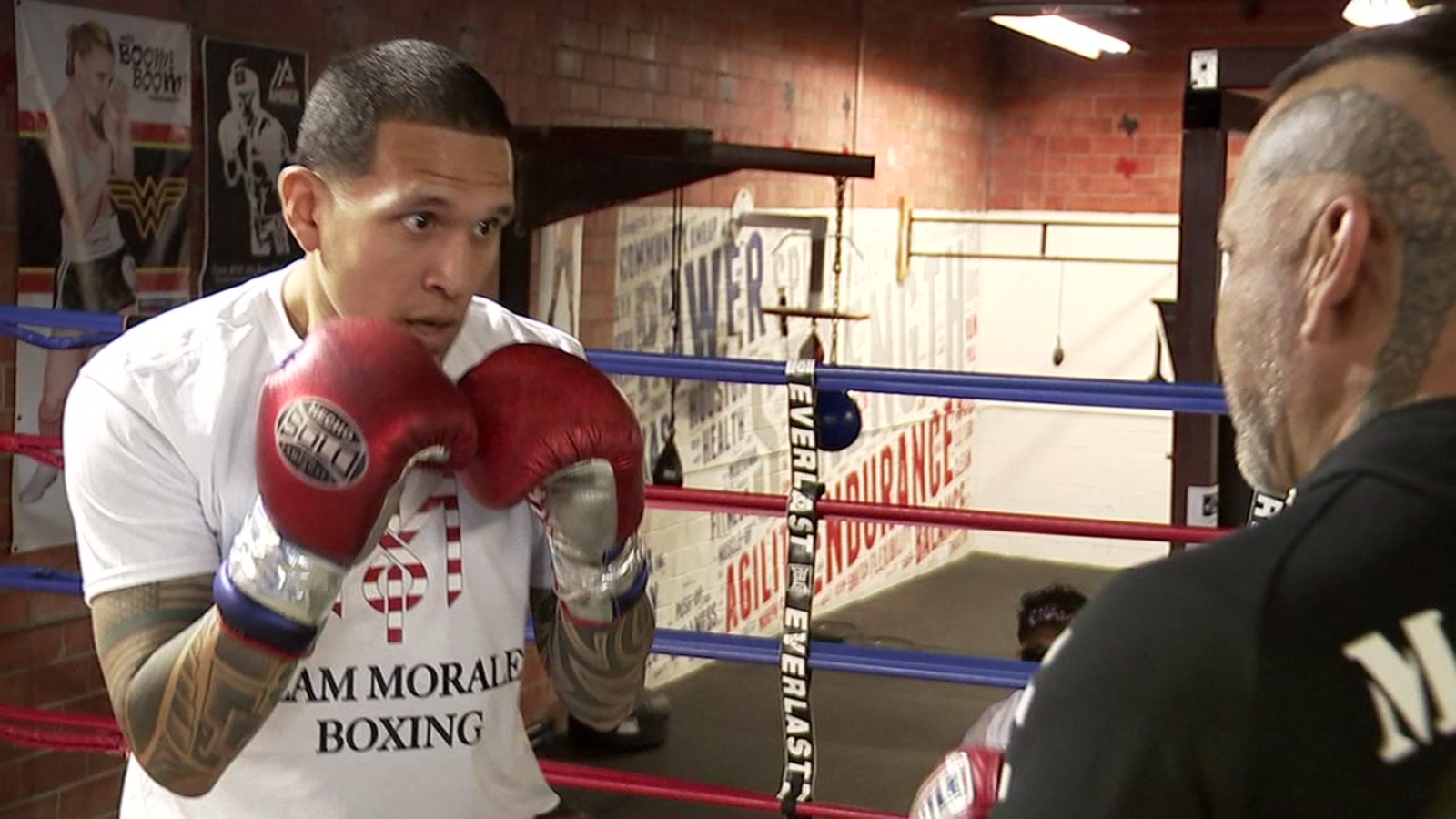 Harris County constable Jonathan Morales returns to the boxing ring ...