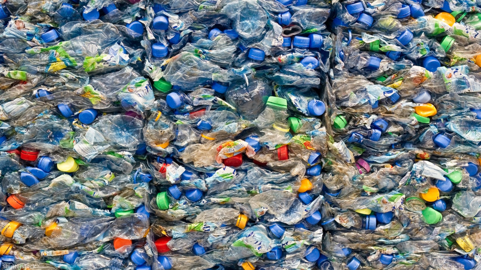 Plastic in your poop? Scientists find plastic bits in human stools, but ...