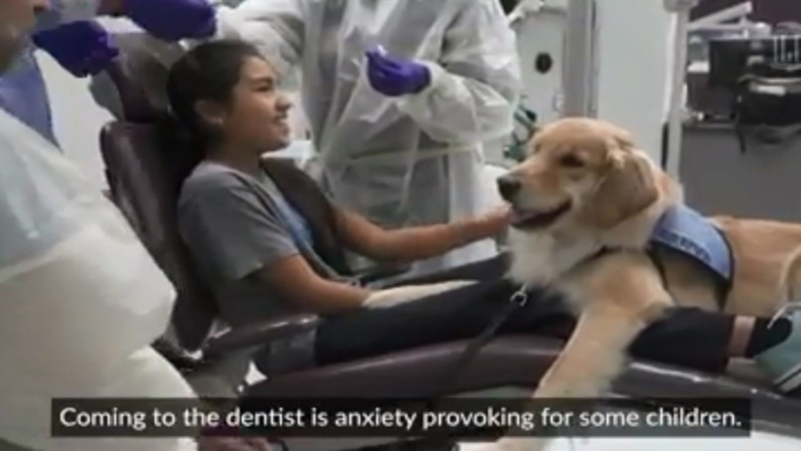 'Grayson' takes the anxiety out of a trip to the dentist at UNC - ABC11 ...