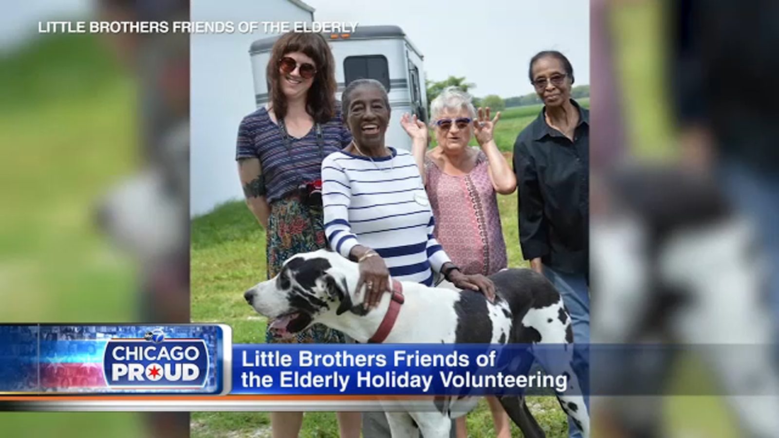 Holiday volunteering with Little Brothers - Friends of the Elderly - ABC7 Chicago