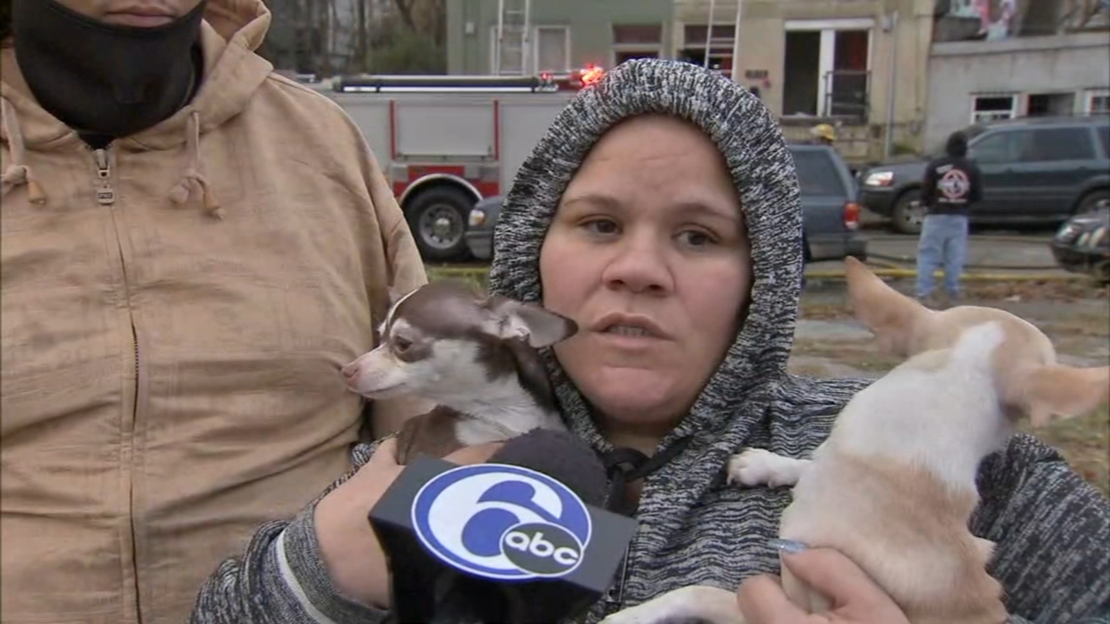 Chihuahuas hailed as heroes for actions during North Philadelphia fire ...