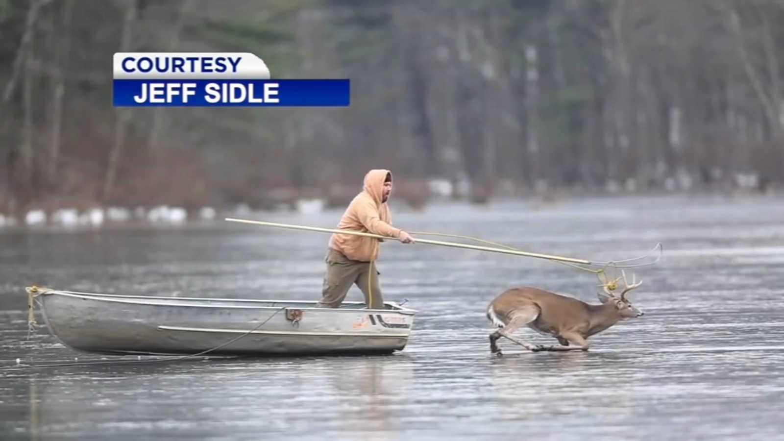 Hunters rescue 8-point buck from frozen Pa. lake - 6abc Philadelphia
