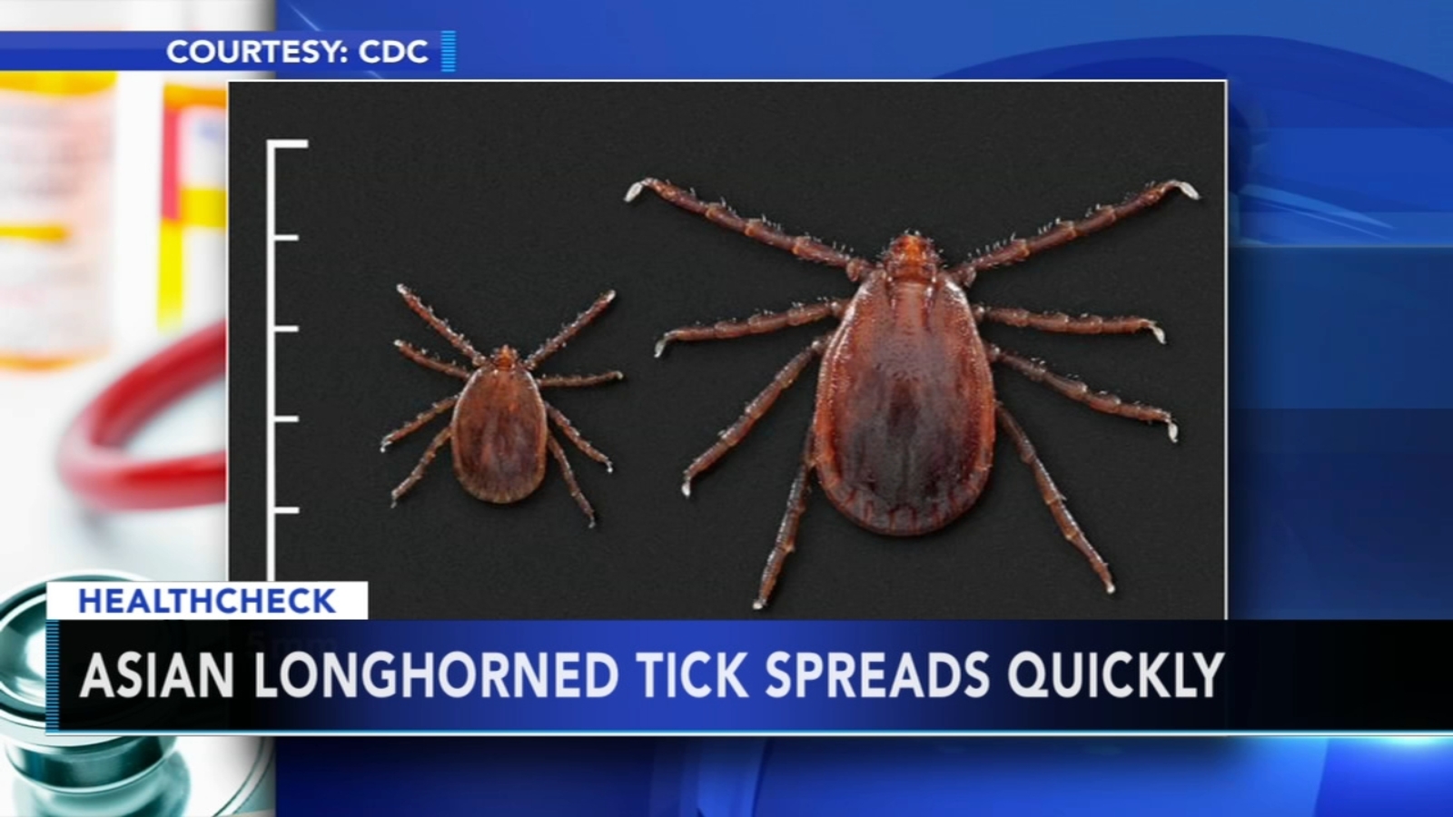 Concerns about new tick spreading across the country - 6abc Philadelphia