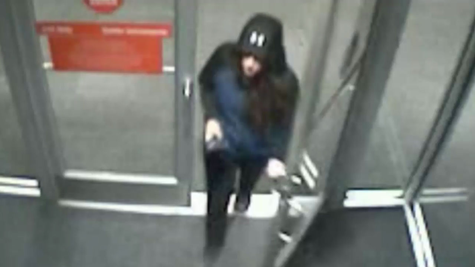 Woman Suspected Of Stealing Purses From Seniors In Bronx Abc7 New York