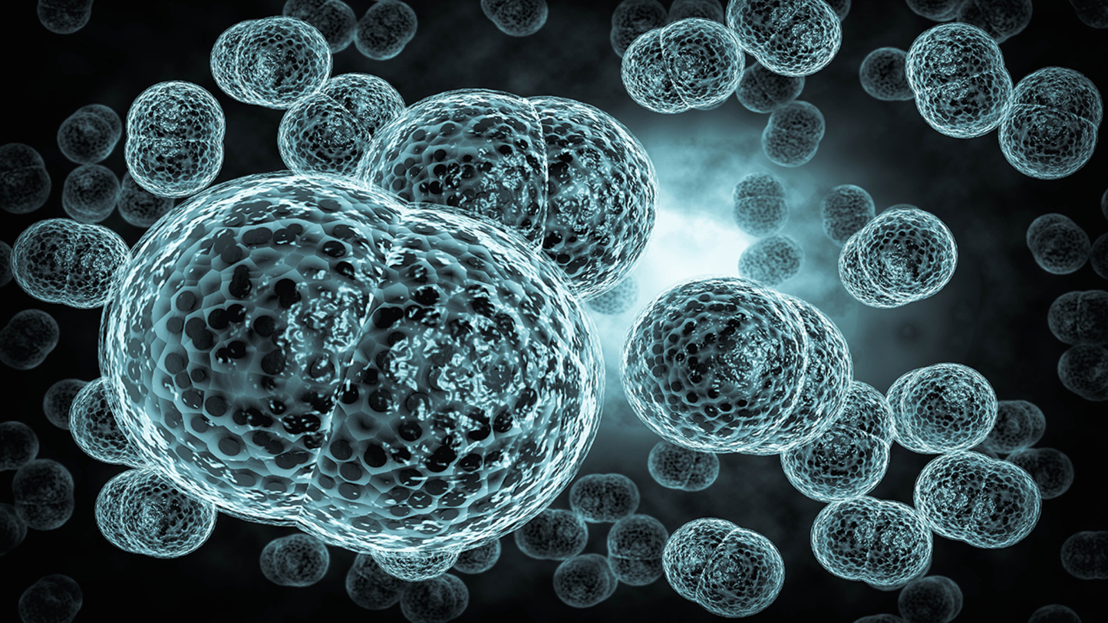 Rutgers University student hospitalized with bacterial meningitis ...