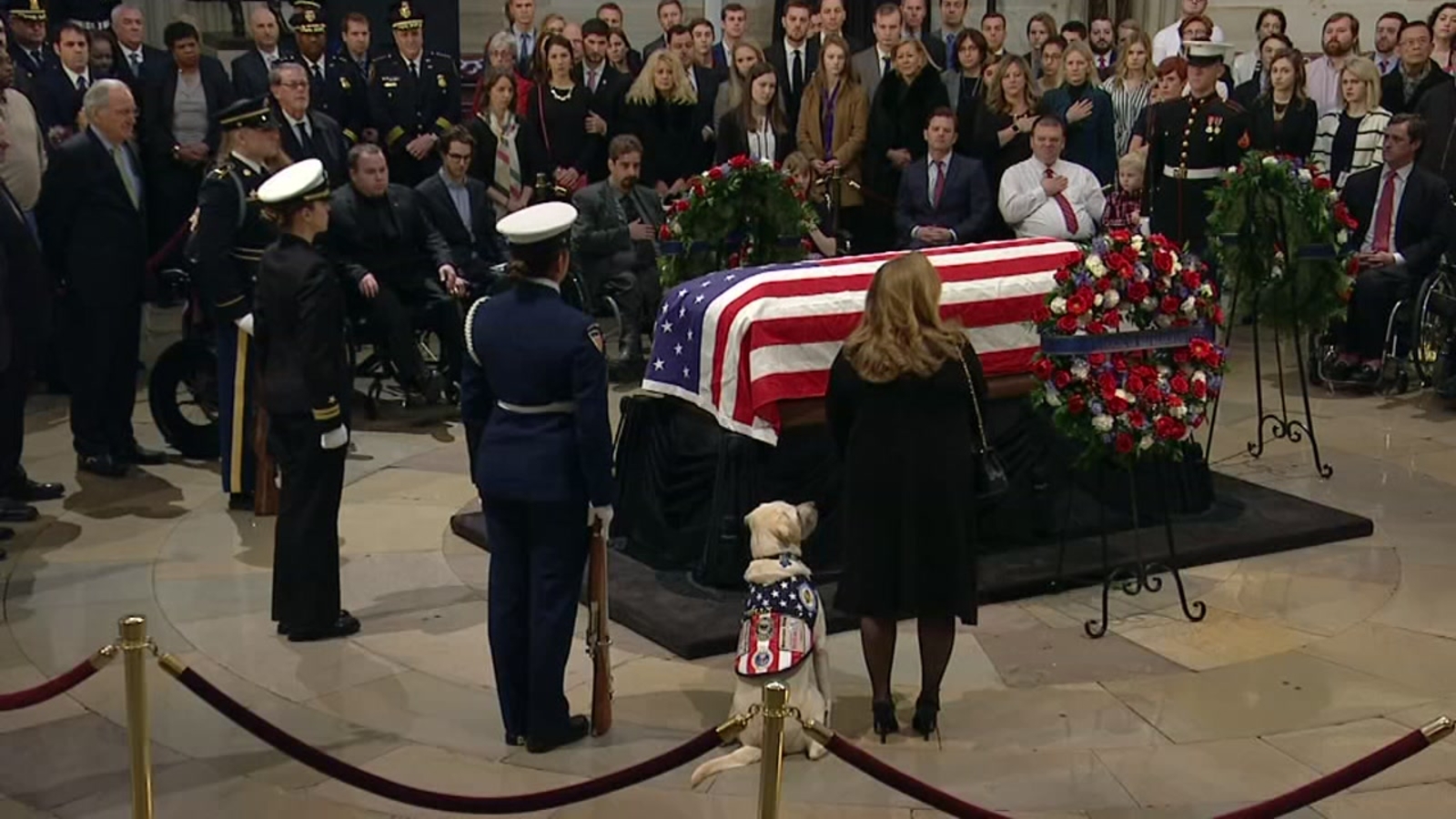 Service dog 'Sully H.W. Bush' escorted into the Capitol Rotunda - ABC7 ...