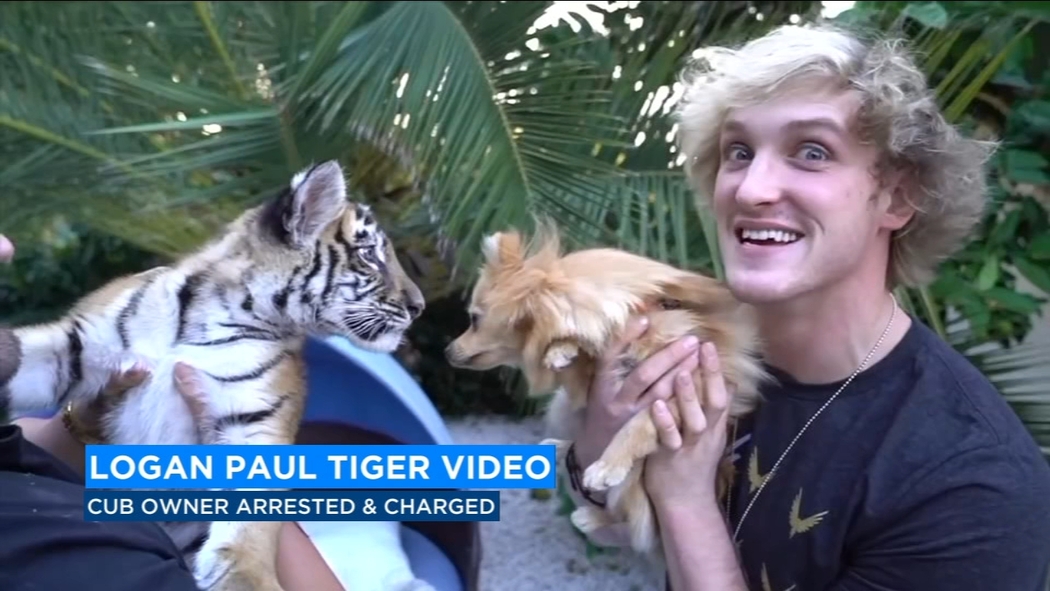 Tiger Logan