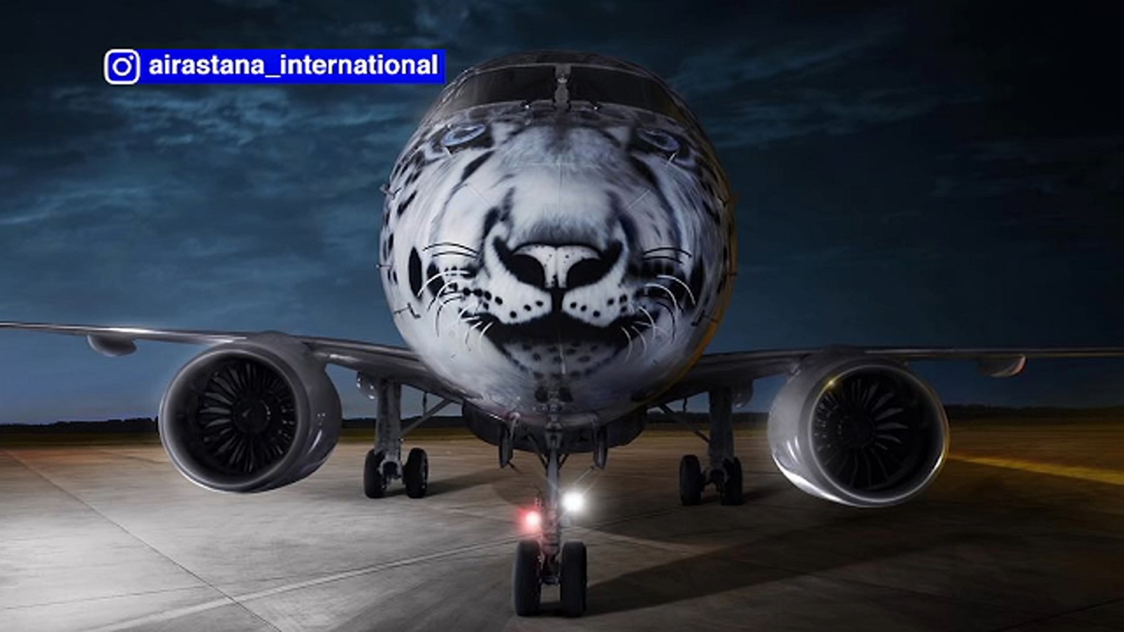 Snow leopard-painted plane designed to bring awareness to plight of ...