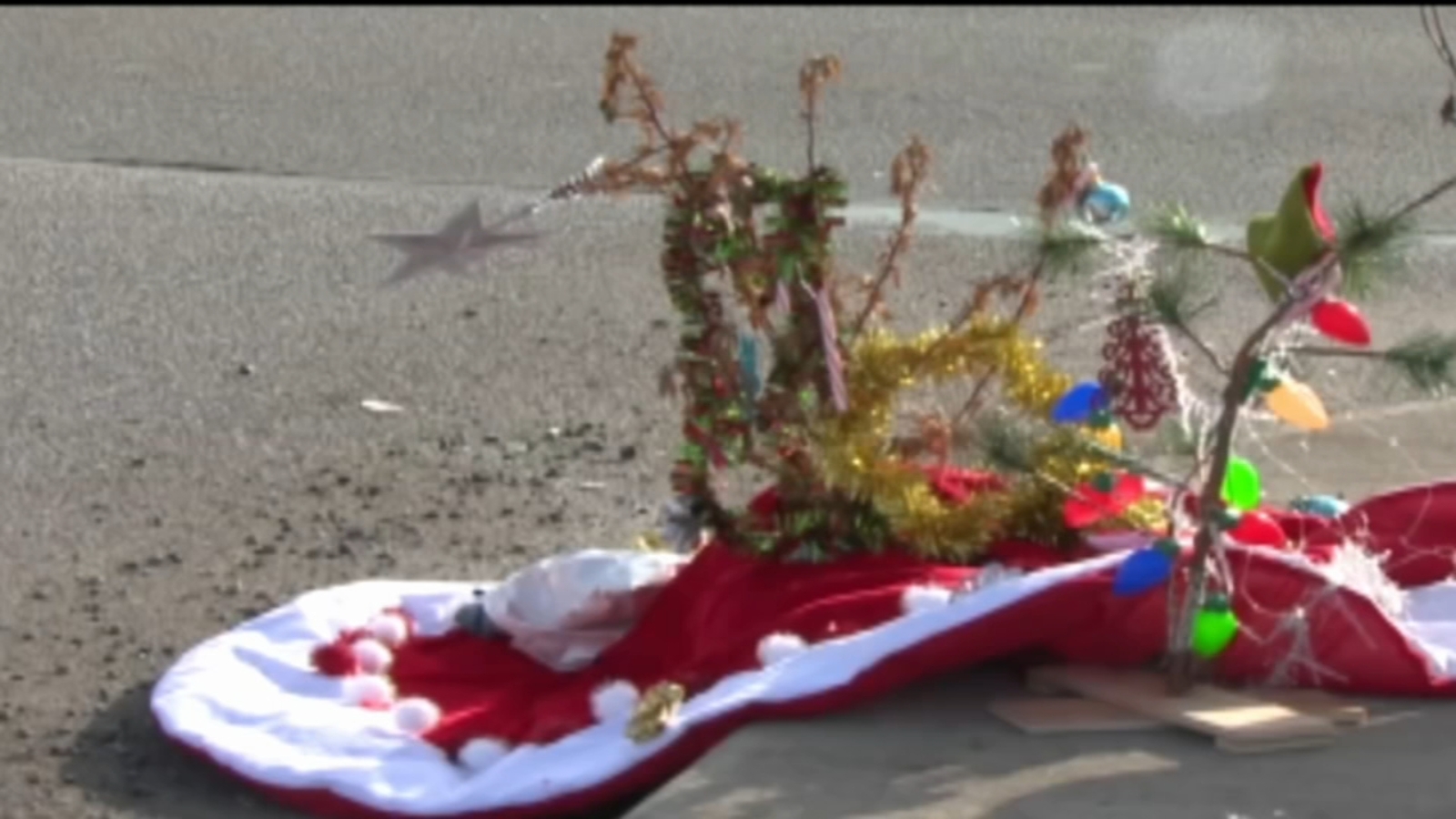 A Christmas weed brings people together in Ohio - 6abc Philadelphia