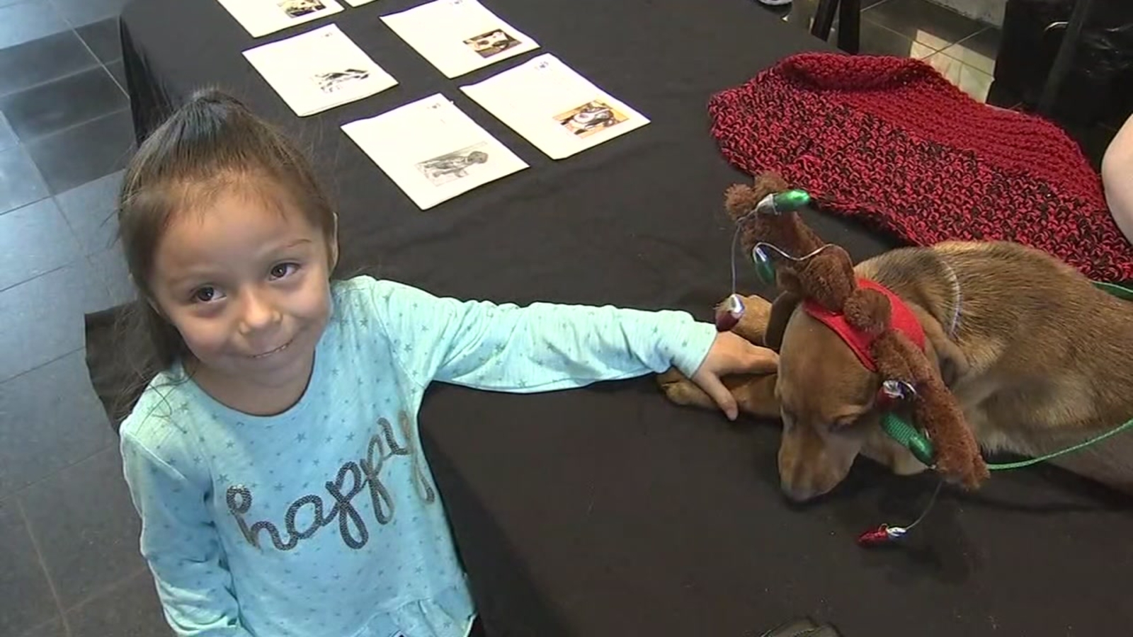 Pet Adoption Houston SPCA Offering Lower Adoption Fees At Neiman pet-adoption-houston-spca-offering-lower-adoption-fees-at-neiman