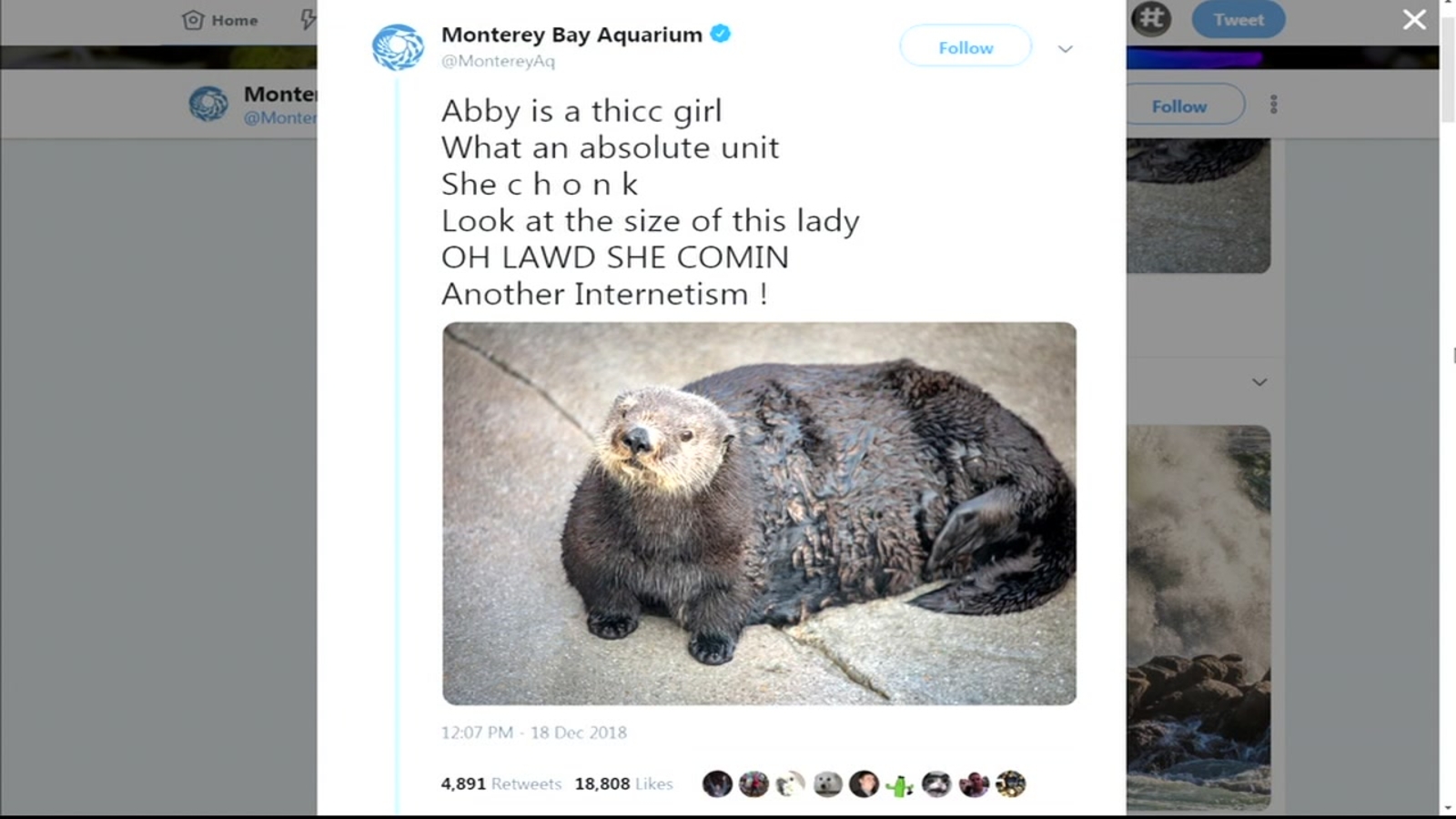 Monterey Bay Aquarium apologizes for viral tweet about otter - ABC7 Los ...