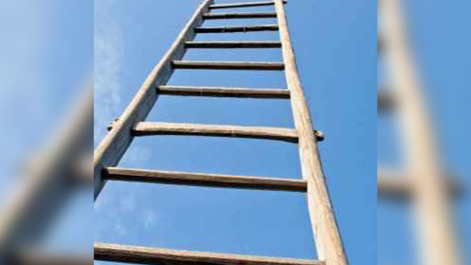Response to viral GoFundMe page seeks to buy ladders to defeat ...