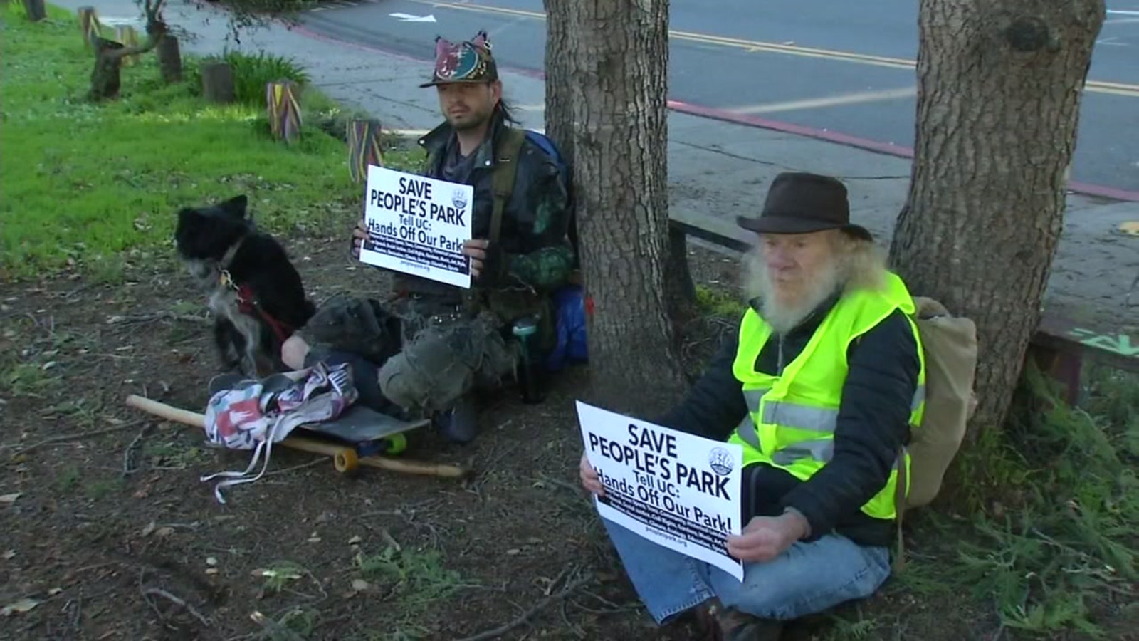 Protesters try to stop crews from removing dozens of trees at People's ...