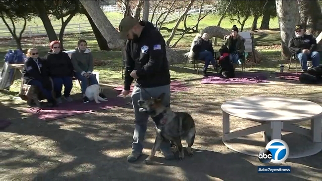 Coleen Sullivan - ABC7 Los Angeles