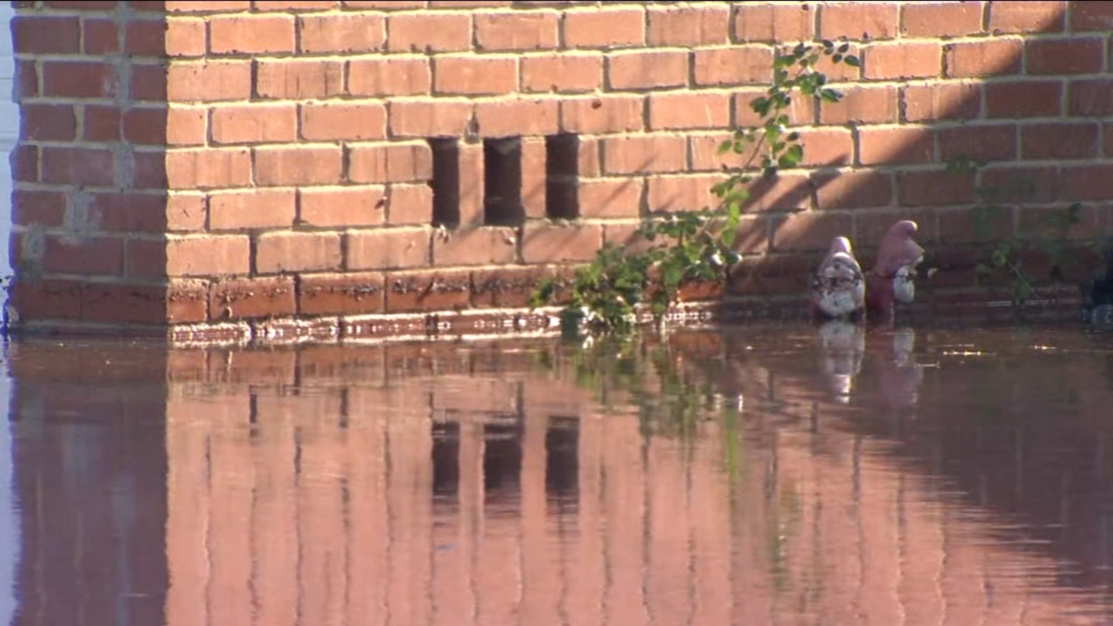 Broken water main cap causes flooding in Fresno Co. neighborhood ...